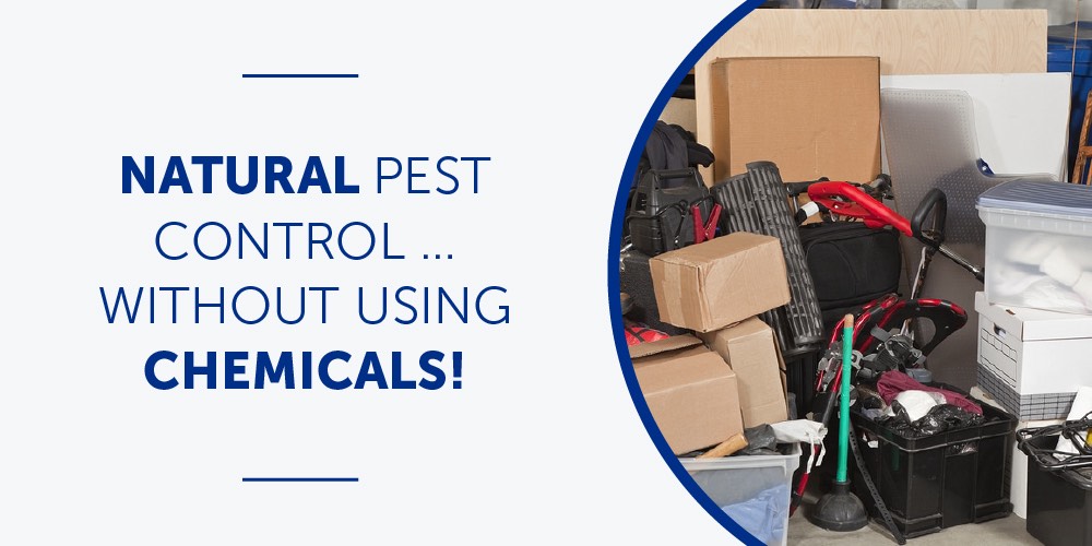Natural Pest Control Without Using Chemicals | Bug & Weed Mart