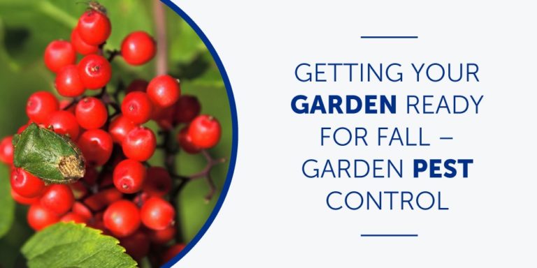 Getting Your Garden Ready for Fall - Garden Pest Control